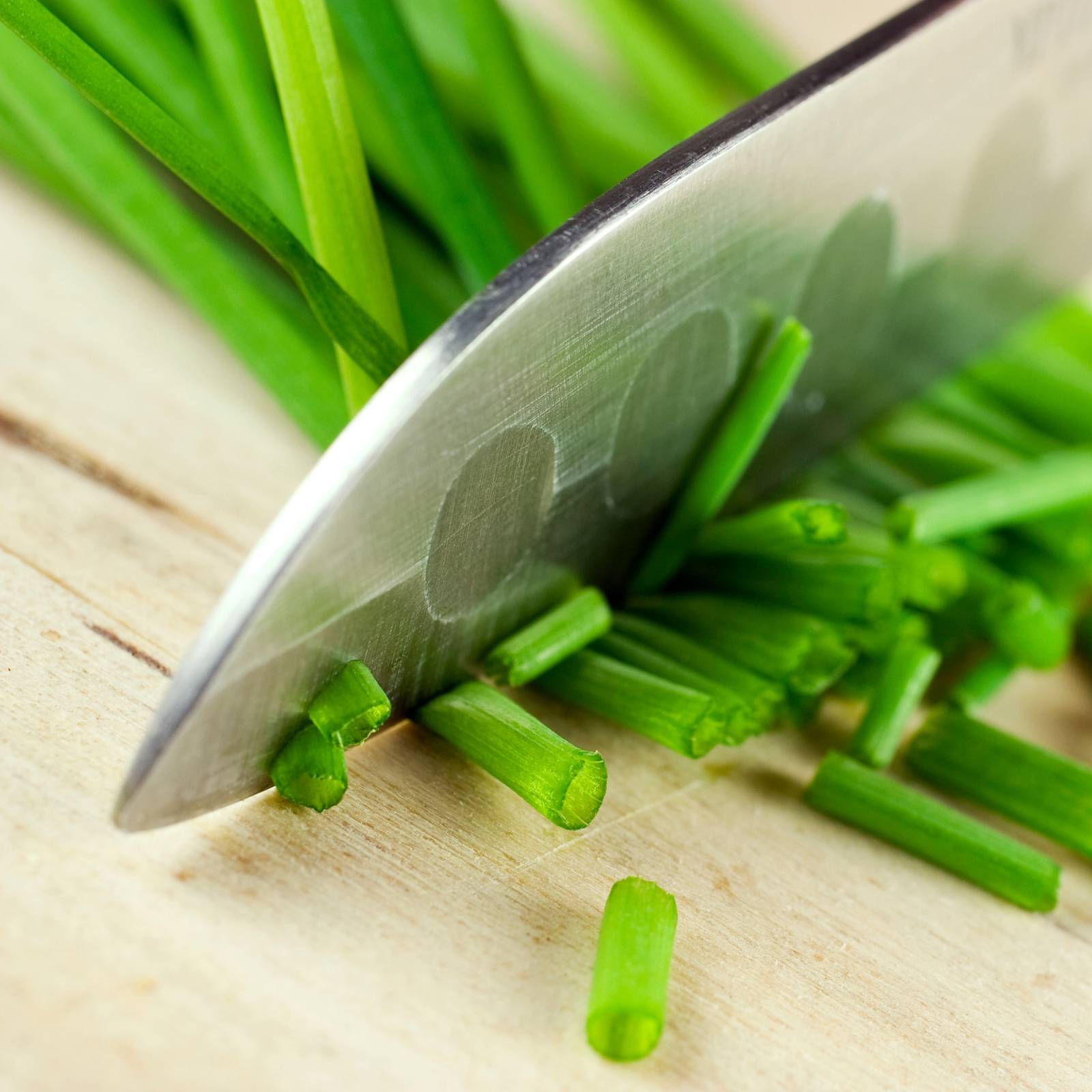 FREE printable guide - Know Your Knives - Stellagro